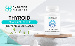 Thyroid's Overlooked Power: The Transformative Benefits of Grass-Fed B – Evolved Elements